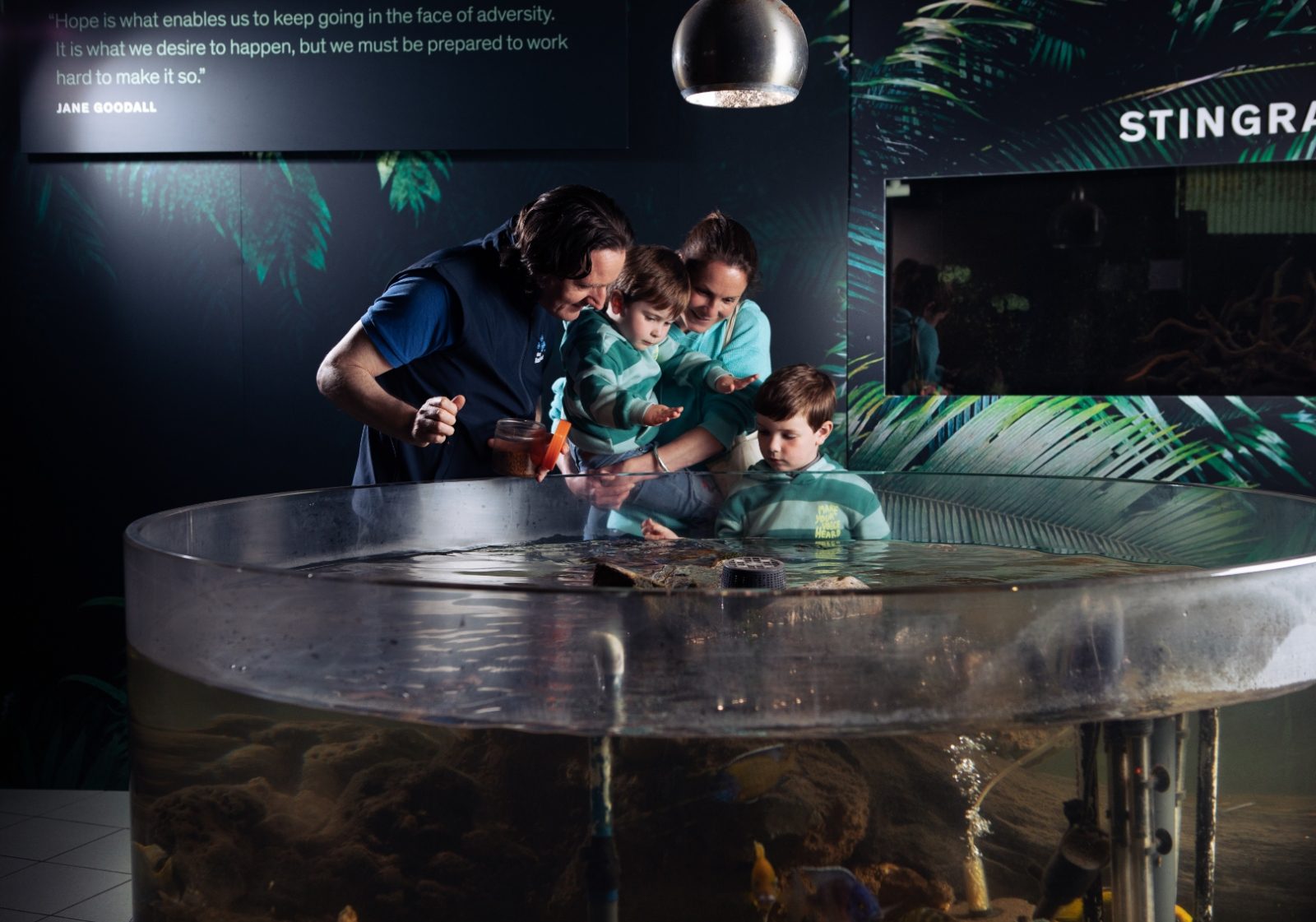 Plan Your Visit to the National Aquarium