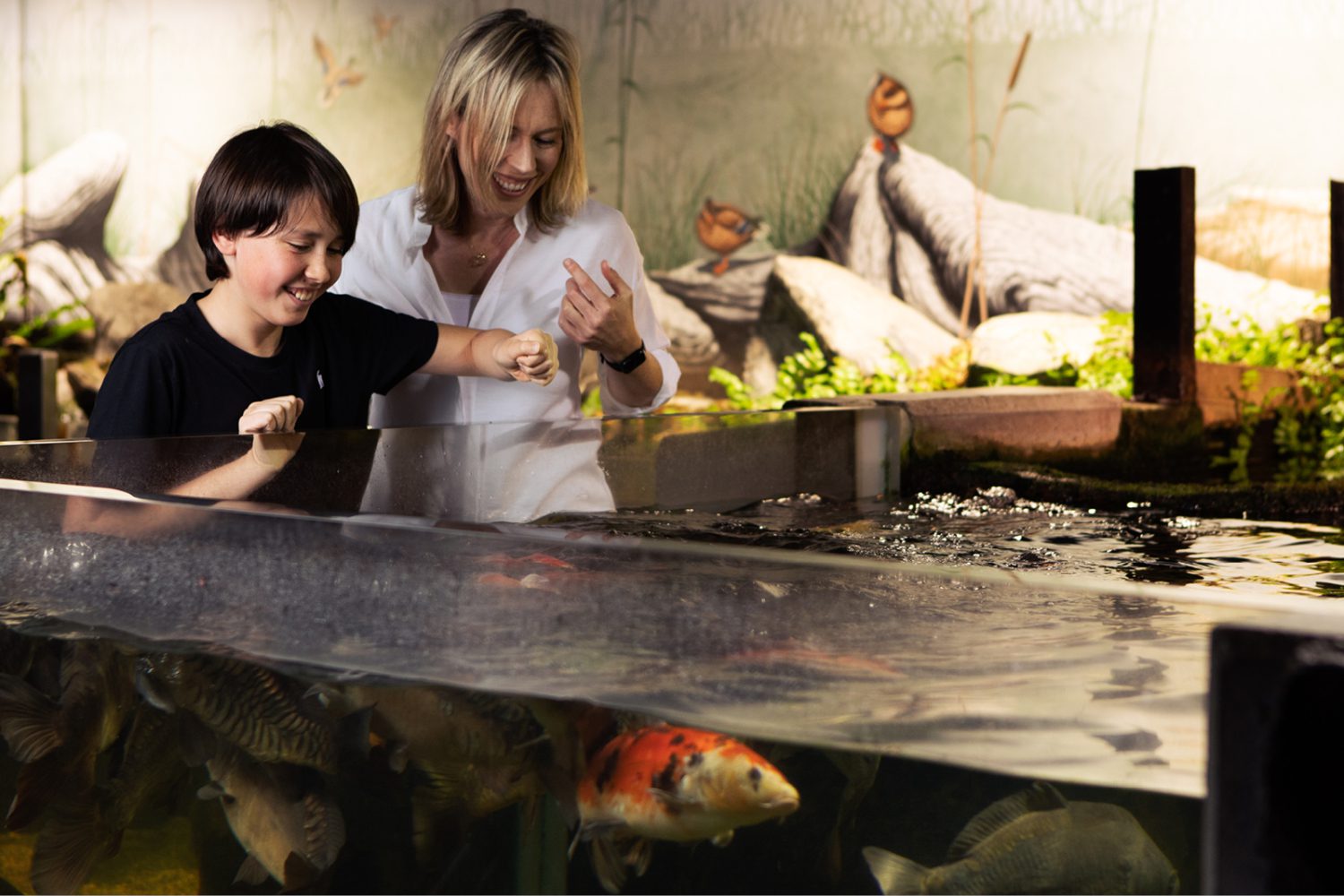 Home | Galway Atlantaquaria