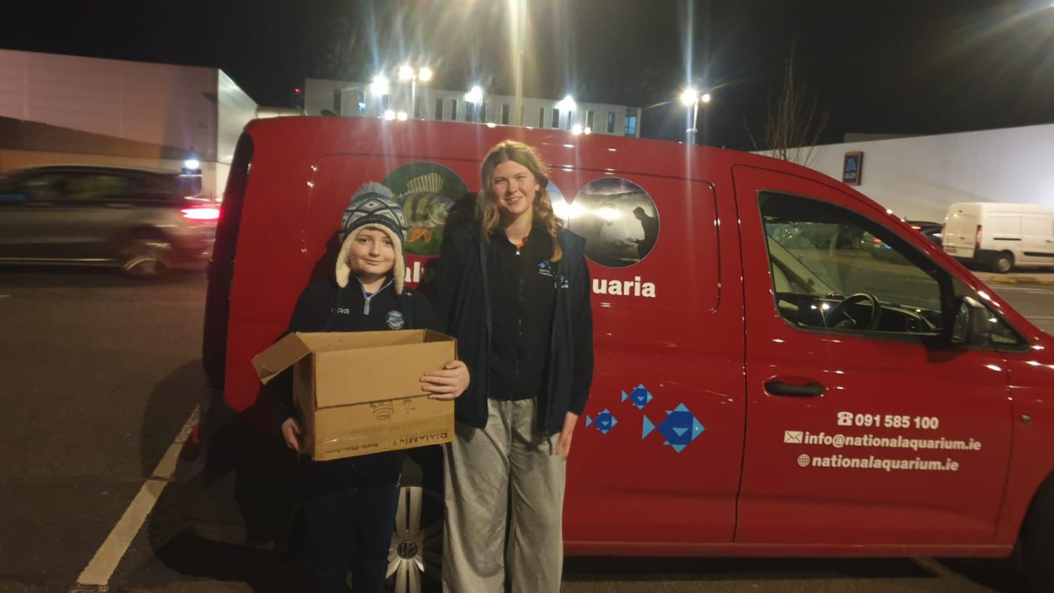 ‘Columbus’ The Loggerhead Sea Turtle | Galway Atlantaquaria
